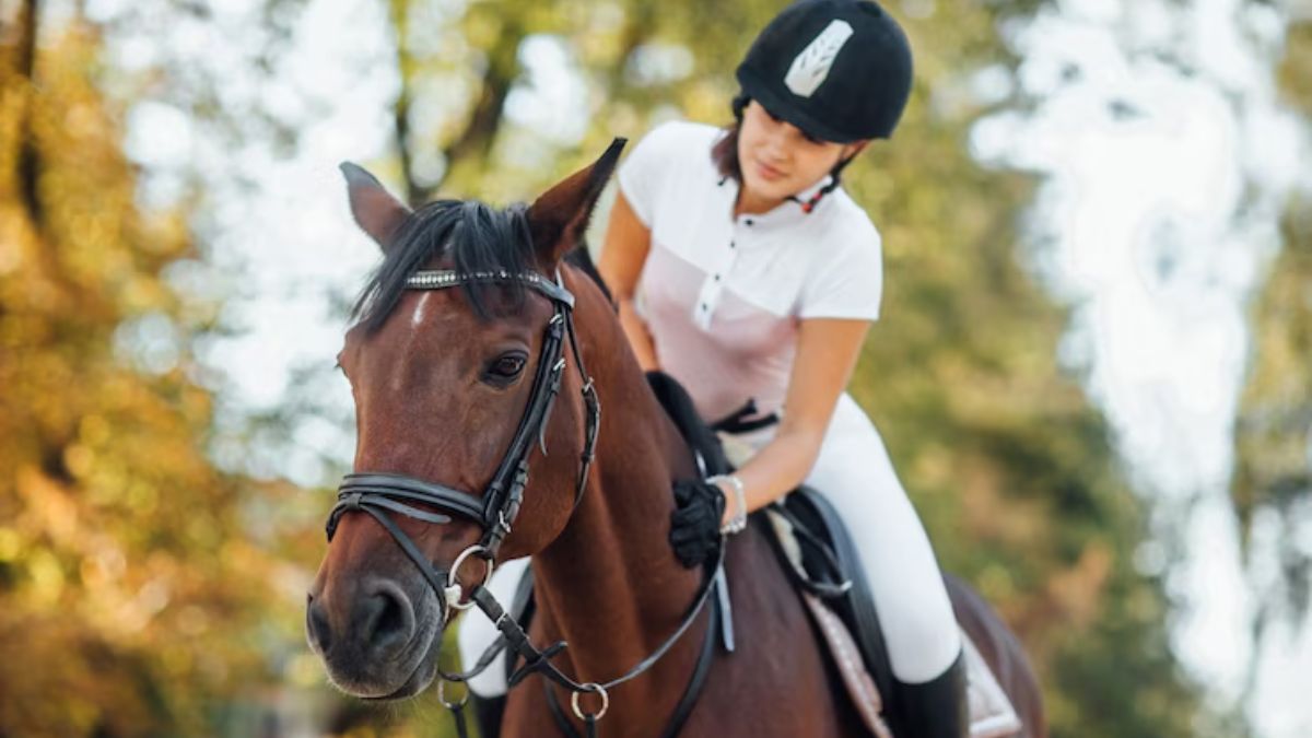 8 Essential Tips for a Secure Horse Riding Experience