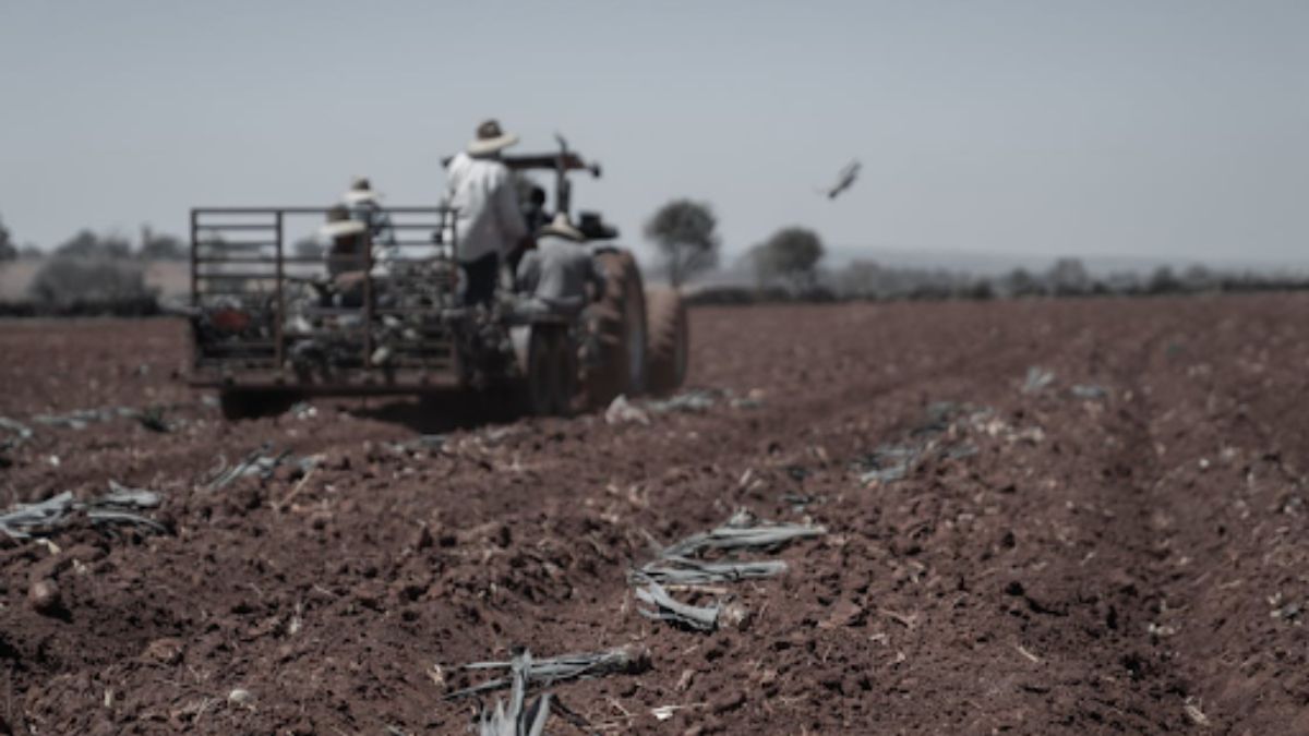 5 Tips for Choosing the Best 3 Point Trencher