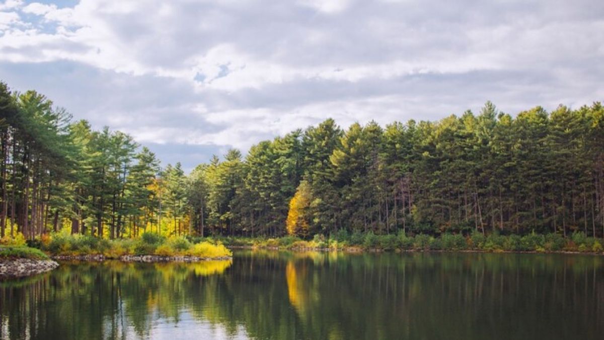 Eerd River: Nature's Hidden Gem