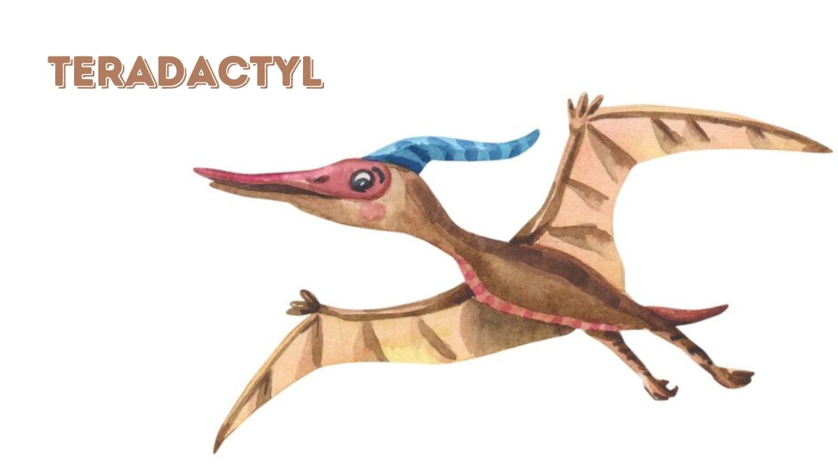 What is a Teradactyl? Unveiling the Mysteries of Ancient Flyers