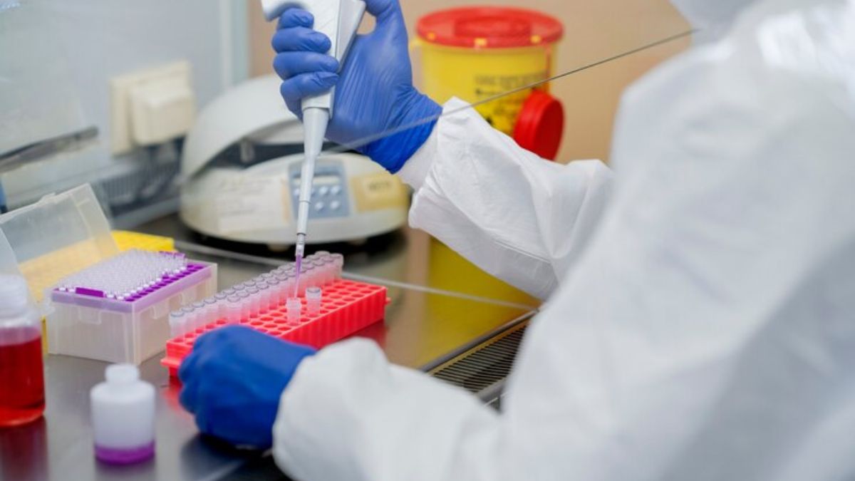 How Are Tissue Samples Used in Scientific Research?