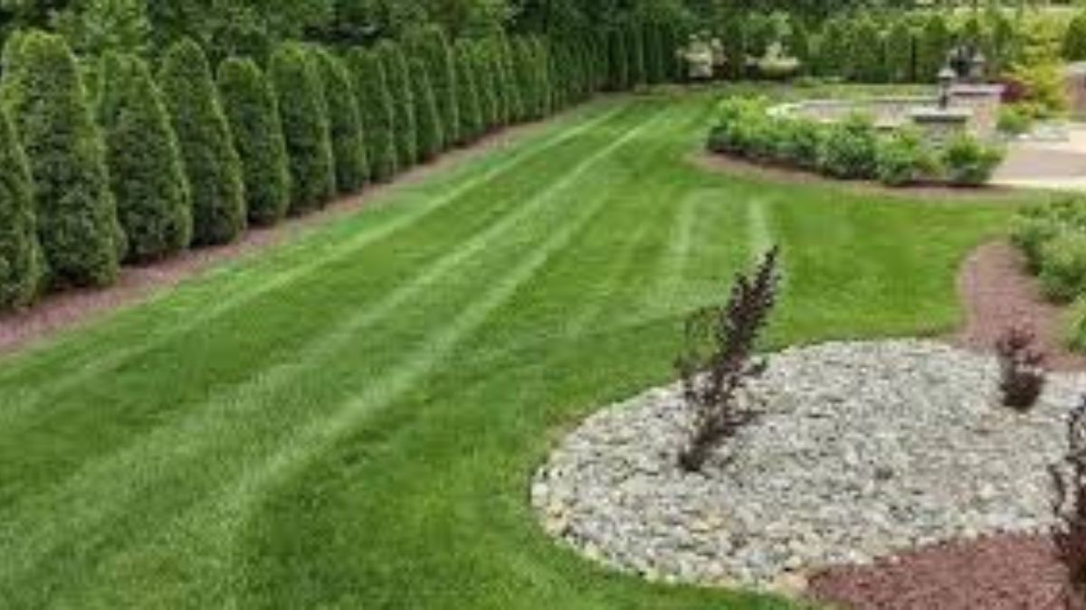 Advancements in Eco-Friendly Grass Seeding Techniques for Commercial ...