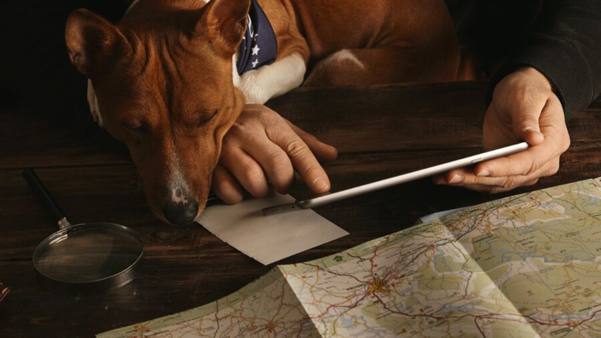 Discover the Magic of Mopsul: A Comprehensive Guide