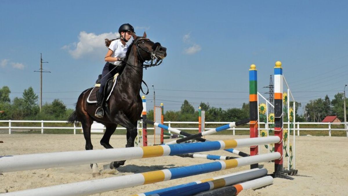 How to Set Up a Horse Jump Course: Tips and Best Practices