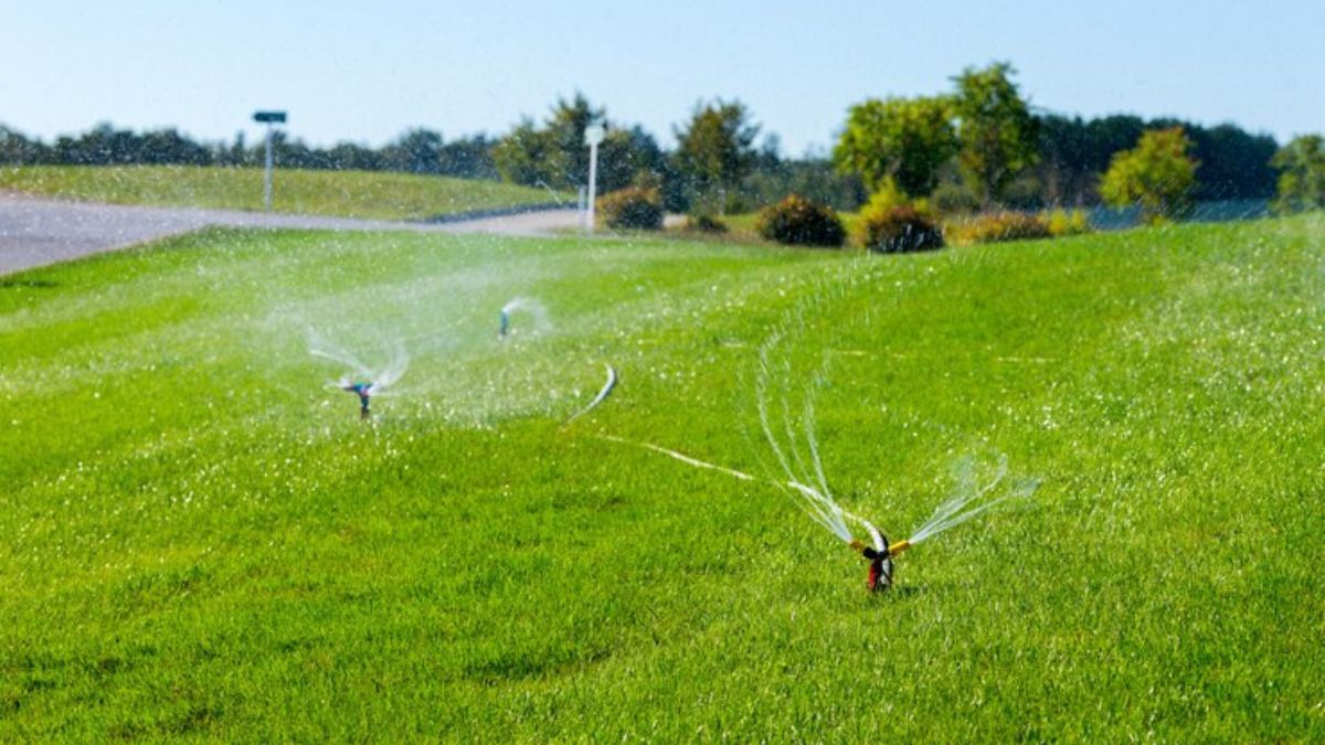 Water-Savvy Landscaping: Achieving a Lush Lawn with Efficient ...